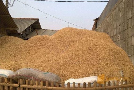 The Role of Rice Husk in Indonesia's Renewable Energy Transition ...